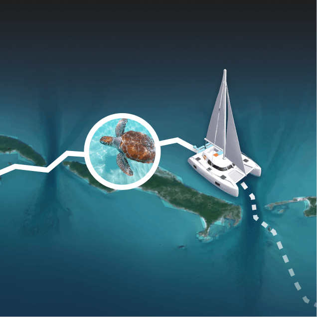 DataHub Pro · PredictWind